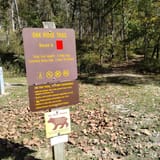 Oak Ridge Trail, Missouri - 180 Reviews, Map | AllTrails