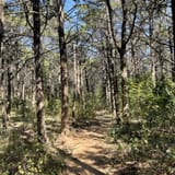 Parallel Forest Trail, Oklahoma - 408 Reviews, Map | AllTrails
