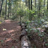 Cato's Ridge, Massachusetts - 517 Reviews, Map | AllTrails