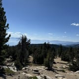 Chickadee Ridge via Tahoe Rim Trail, Nevada - 2,877 Reviews, Map ...