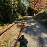 Cotton Valley Rail-Trail, New Hampshire - 737 Reviews, Map | AllTrails