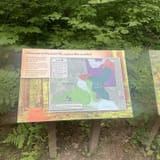 Lost '40' Trail, Minnesota - 182 Reviews, Map | AllTrails