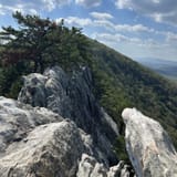 Buzzard Rock, Virginia - 2,011 Reviews, Map | AllTrails