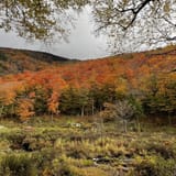 Nebraska Notch via Lake Mansfield Trail, Vermont - 733 Reviews, Map ...