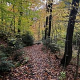 Nebraska Notch via Lake Mansfield Trail, Vermont - 729 Reviews, Map ...