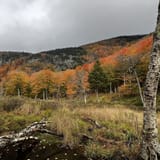 Nebraska Notch via Lake Mansfield Trail, Vermont - 729 Reviews, Map ...