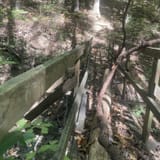 Devil's Racetrack Trail, Tennessee - 594 Reviews, Map | AllTrails