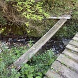 Sprague Brook Park Trail, New York - 1,461 Reviews, Map | AllTrails