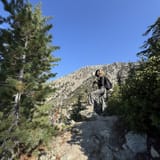 Ice House Canyon Trail, California - 1,684 Reviews, Map | AllTrails