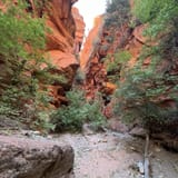 Spring Creek Canyon, Utah - 1,485 Reviews, Map | AllTrails