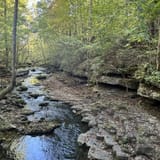 Busby and Machine Falls Loop, Tennessee - 2,193 Reviews, Map | AllTrails