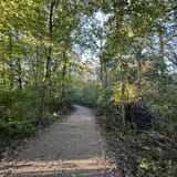 Anchorage Trail, Kentucky - 748 Reviews, Map | AllTrails