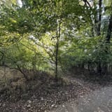 Anchorage Trail, Kentucky - 757 Reviews, Map | AllTrails