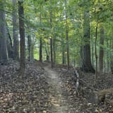 Bacon Ridge Trail: Phase 3, Maryland - 2,715 Reviews, Map | AllTrails