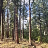 See Spring Trail, Arizona - 973 Reviews, Map | AllTrails