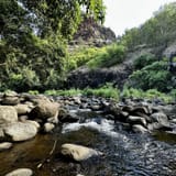 Kukui Trail, Kaua'i, Hawaii - 1,665 Reviews, Map | AllTrails