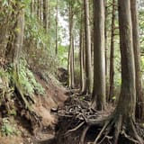 Mount Kintoki - Kintoki Shrine, Kanagawa, Japan - 228 Reviews, Map ...