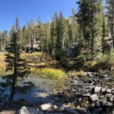 Barney Lake Trail, California - 1,323 Reviews, Map | AllTrails