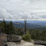 Mount Kit Carson Trail, Washington - 1,052 Reviews, Map | AllTrails