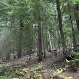 Mount Kit Carson Trail, Washington - 1,047 Reviews, Map | AllTrails