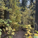 Mount Kit Carson Trail, Washington - 1,051 Reviews, Map | AllTrails