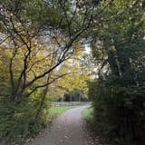 Anchorage Trail, Kentucky - 748 Reviews, Map | AllTrails