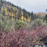 Government Springs 95A, Arizona - 650 Reviews, Map | AllTrails