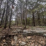 Sac River Trail, Missouri - 557 Reviews, Map | AllTrails