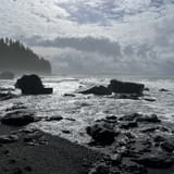 Sombrio Beach, British Columbia, Canada - 801 Reviews, Map | AllTrails
