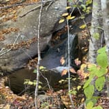 Champney Falls Trail, New Hampshire - 1,785 Reviews, Map | AllTrails