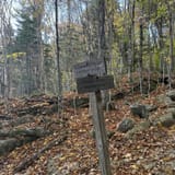 Champney Falls Trail, New Hampshire - 1,785 Reviews, Map | AllTrails