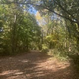 Neshaminy State Park, Pennsylvania - 1,051 Reviews, Map | AllTrails