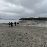 Bar Island Trail, Maine - 3,489 Reviews, Map | AllTrails