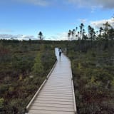 Orono Bog Boardwalk [CLOSED], Maine - 876 Reviews, Map | AllTrails
