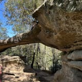 Princess Arch Trail, Kentucky - 1,534 Reviews, Map | AllTrails