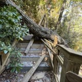 Catawba Falls River Trail, North Carolina - 6,090 Reviews, Map | AllTrails