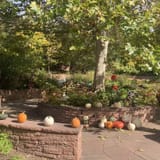 Red Butte Gardens Small Loop, Utah - 289 Reviews, Map | AllTrails