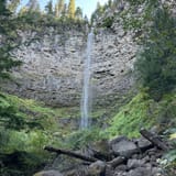 Watson Falls, Oregon - 1,303 Reviews, Map | AllTrails