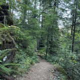 Watson Falls, Oregon - 1,303 Reviews, Map | AllTrails