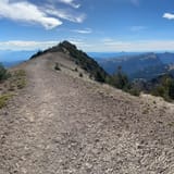 Mount Scott Trail, Oregon - 1,350 Reviews, Map | AllTrails