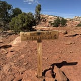 Rim Overlook Trail, Utah - 1,109 Reviews, Map | AllTrails