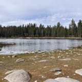 White Wolf to Pate Valley Trail, California - 29 Reviews, Map | AllTrails