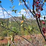 North Point and Pitching Point Loop, New York - 1,658 Reviews, Map ...