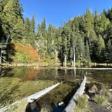 June Lake Trail, Washington - 847 Reviews, Map | AllTrails