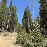 Abyss Trail to Helms Lake, Colorado - 3,604 Reviews, Map | AllTrails