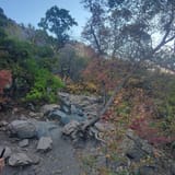 Waterfall Canyon Trail, Utah - 6,097 Reviews, Map | AllTrails