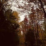 Mount Elmore , Vermont - 1,646 Reviews, Map | AllTrails