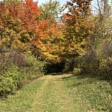 Butler Lake Trail, Wisconsin - 337 Reviews, Map | AllTrails