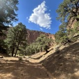Red Mountain Trail, Arizona - 1,010 Reviews, Map | AllTrails