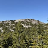 Mount Cardigan Loop Trail, New Hampshire - 2,563 Reviews, Map | AllTrails